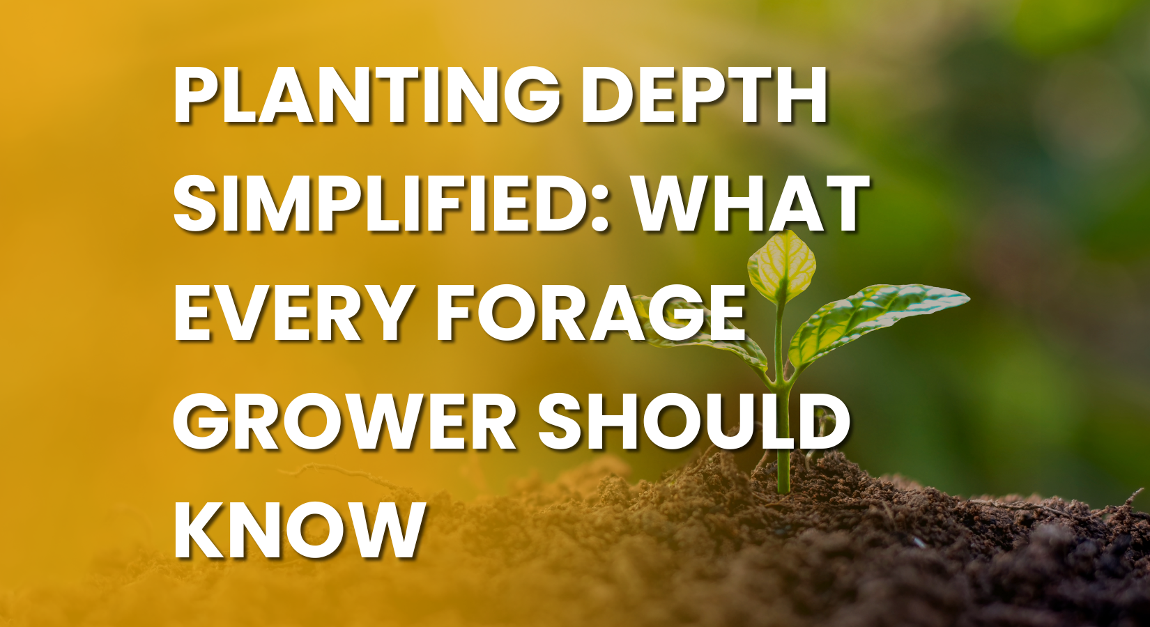 Planting Depth Simplified: What Every Forage Grower Should Know